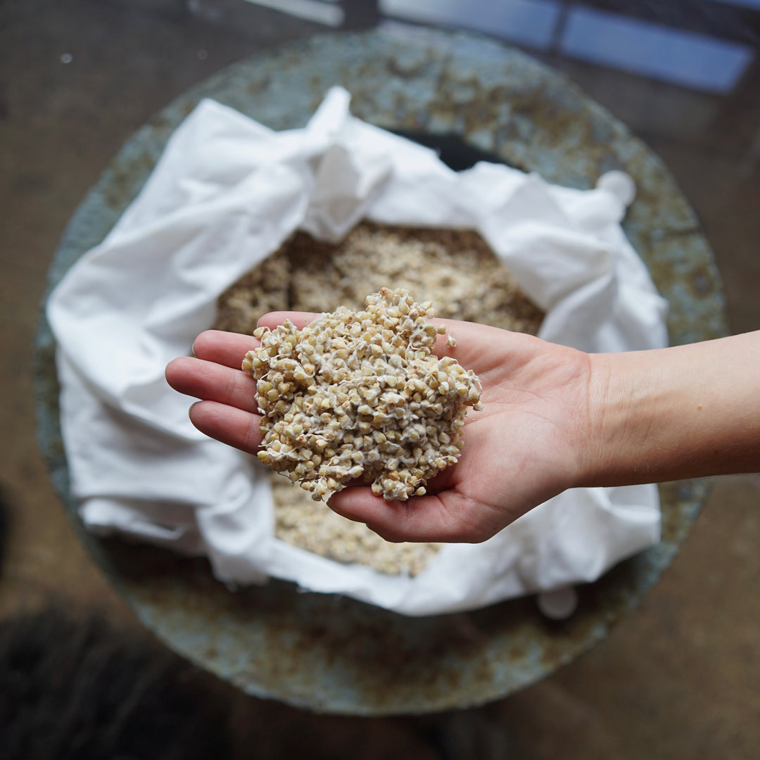 Koji Kickstarter – Silo